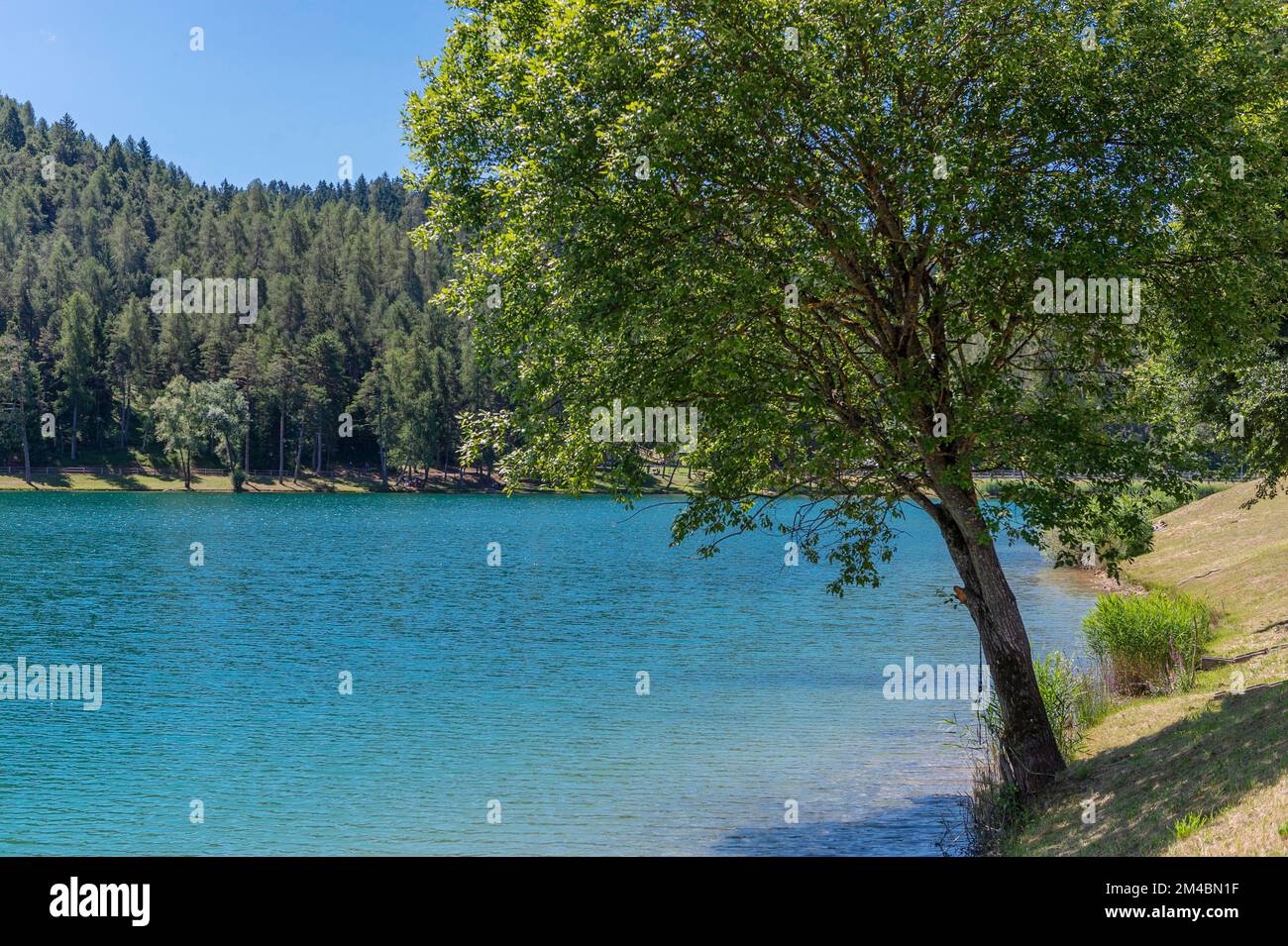 Tavon lake hi-res stock photography and images - Alamy