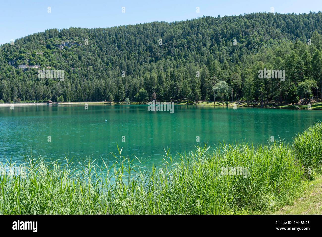 coredo lake, predaia, italy Stock Photo - Alamy