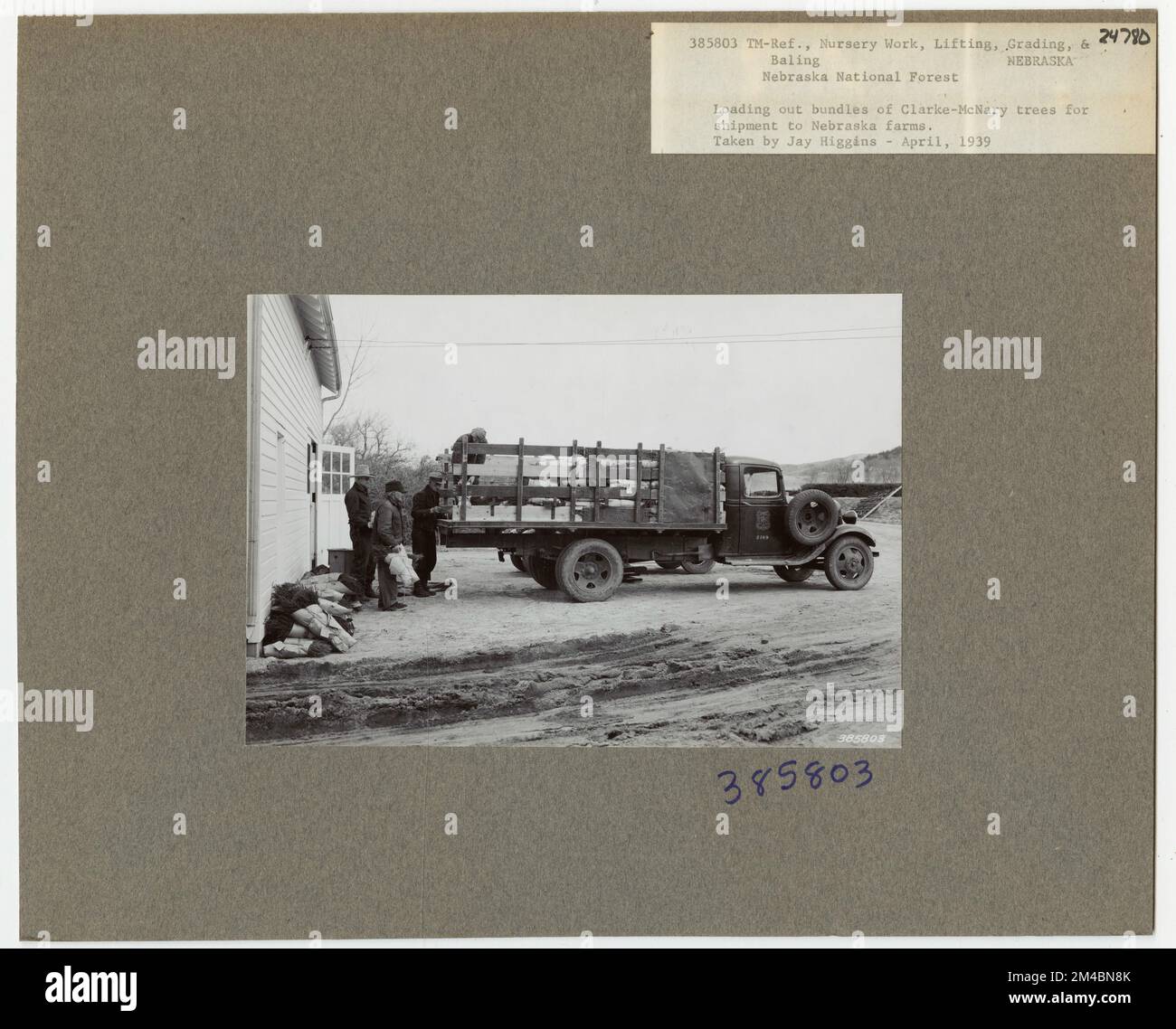 Nurseries: Planting Stock - Nebraska. Photographs Relating to National ...