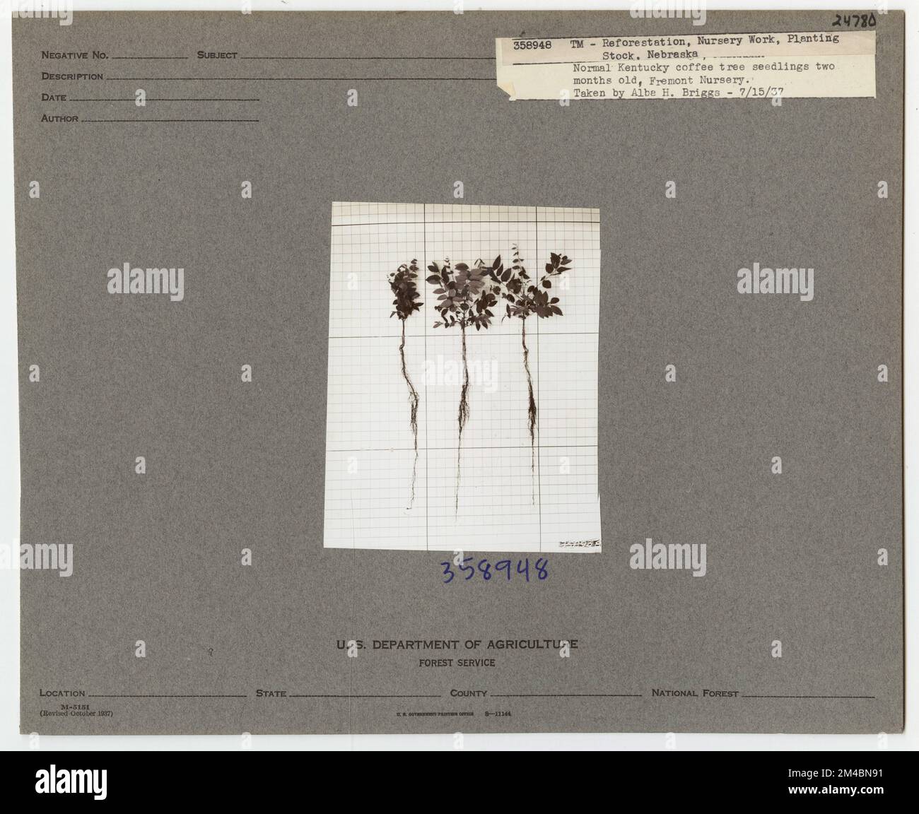 Nurseries: Planting Stock - Nebraska. Photographs Relating to National ...