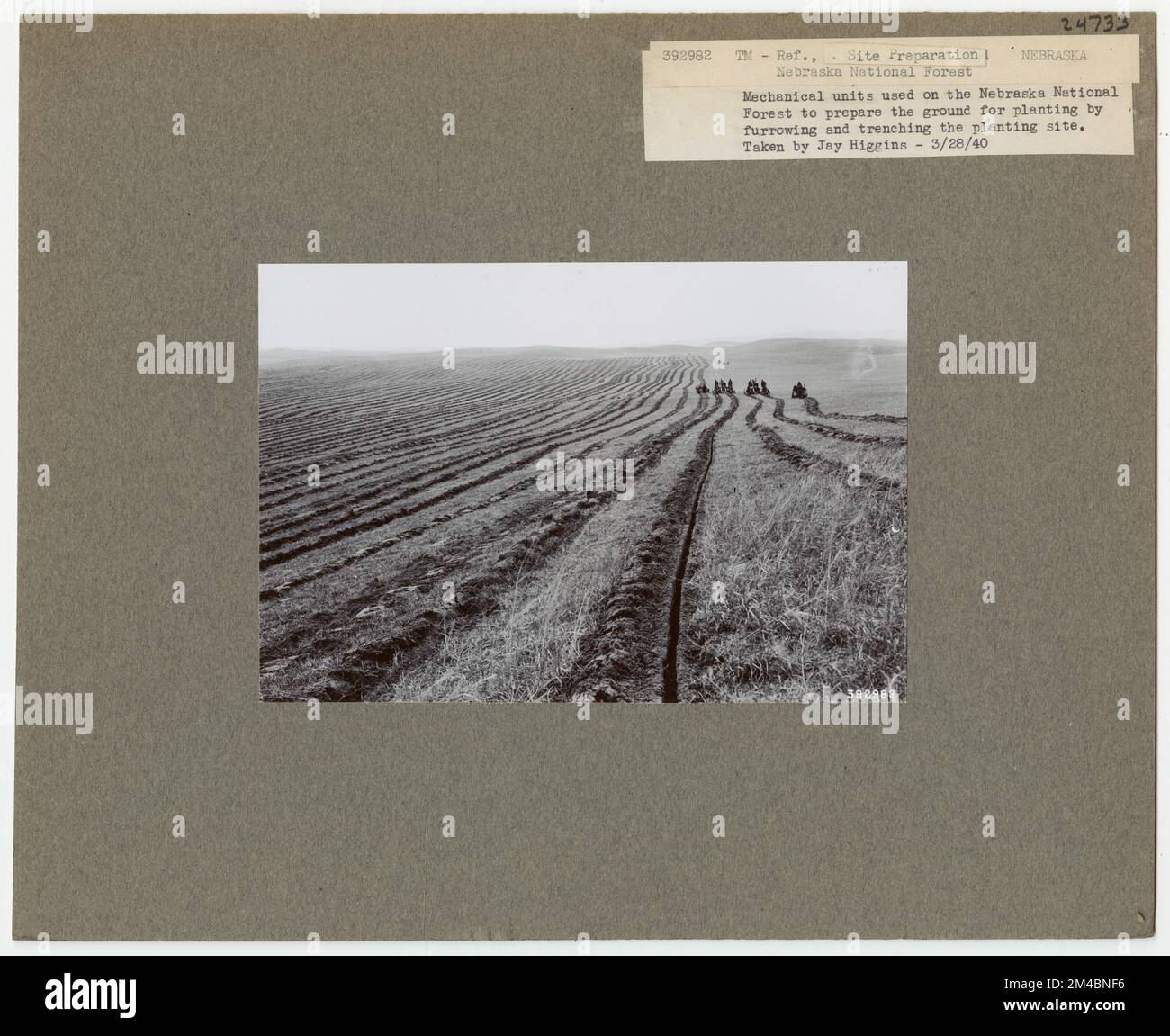 Reforestation: Planting - Nebraska. Photographs Relating to National ...