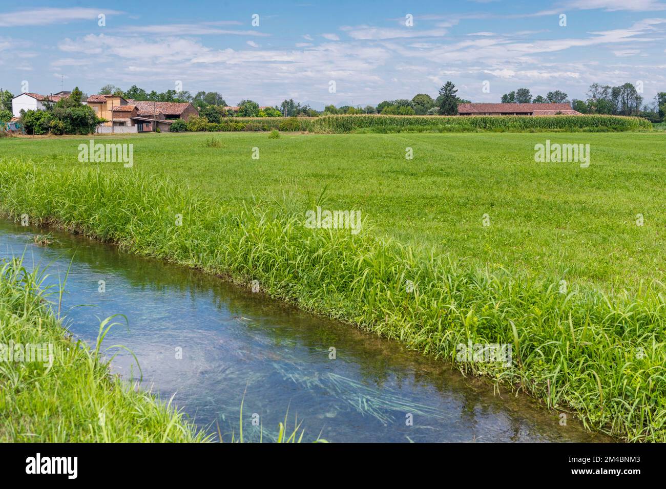 canal near the 52 provincial road, crema, italy Stock Photo - Alamy
