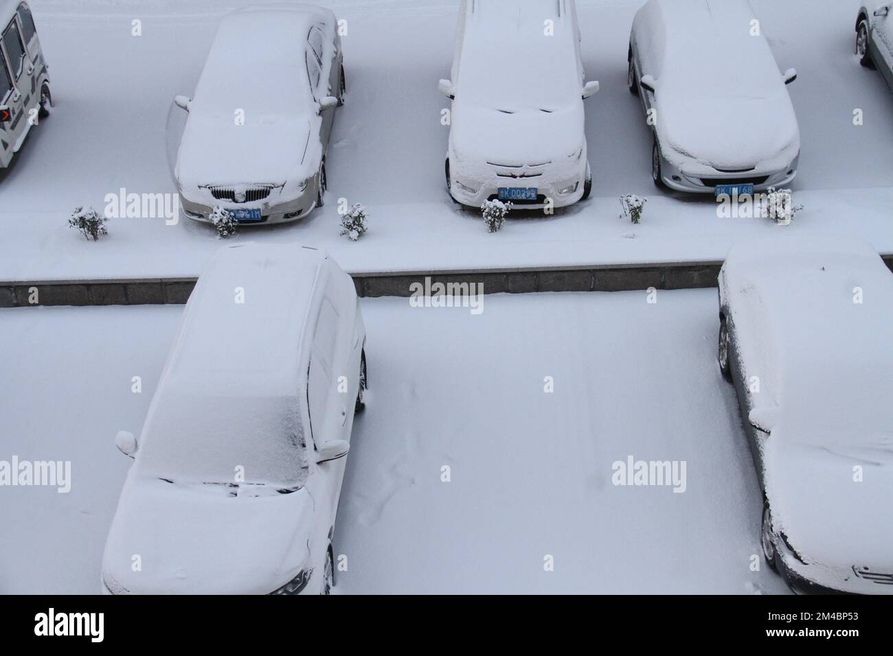 Affected by the strong cold air, a heavy snow fell in Weihai City, east ...