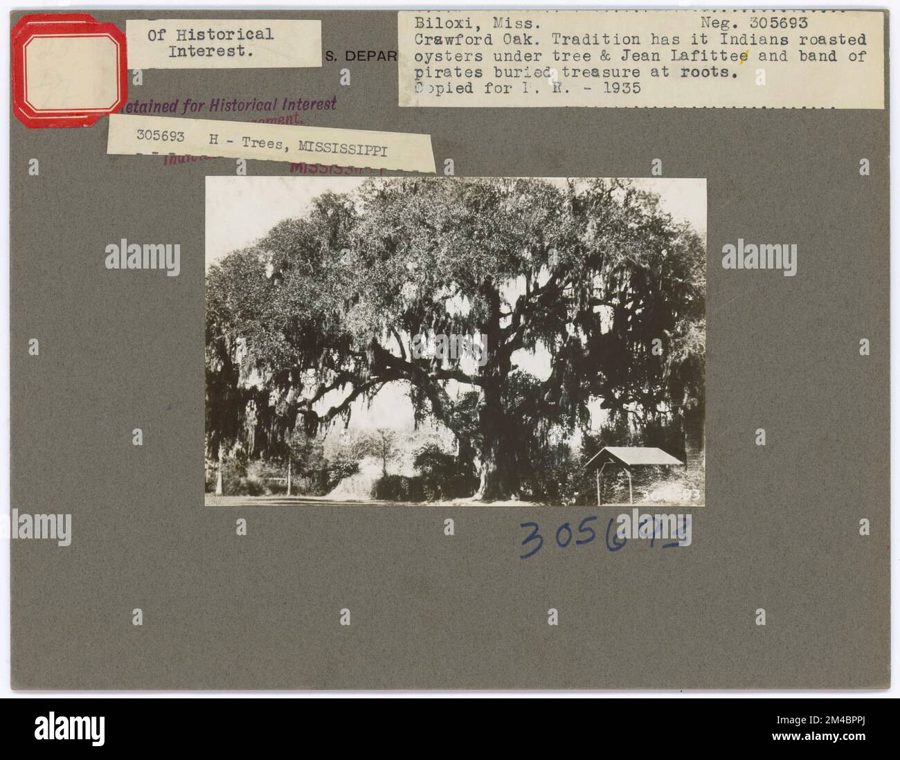 Historical Trees - Mississippi. Photographs Relating to National ...