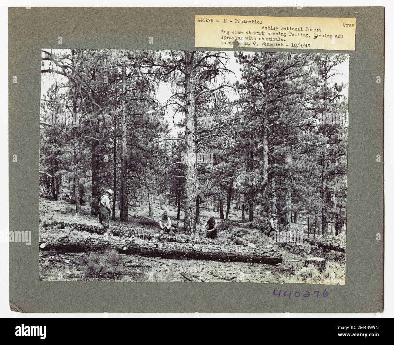 Disease Control (Water Damaged) - Utah. Photographs Relating to ...