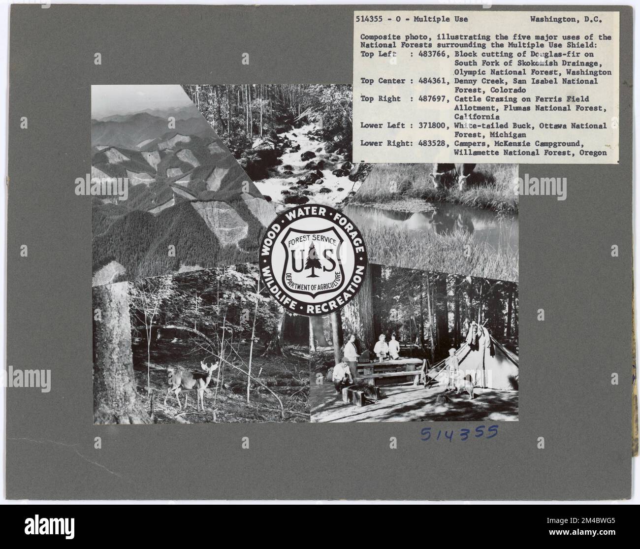 Multiple Use All States Photographs Relating To National Forests