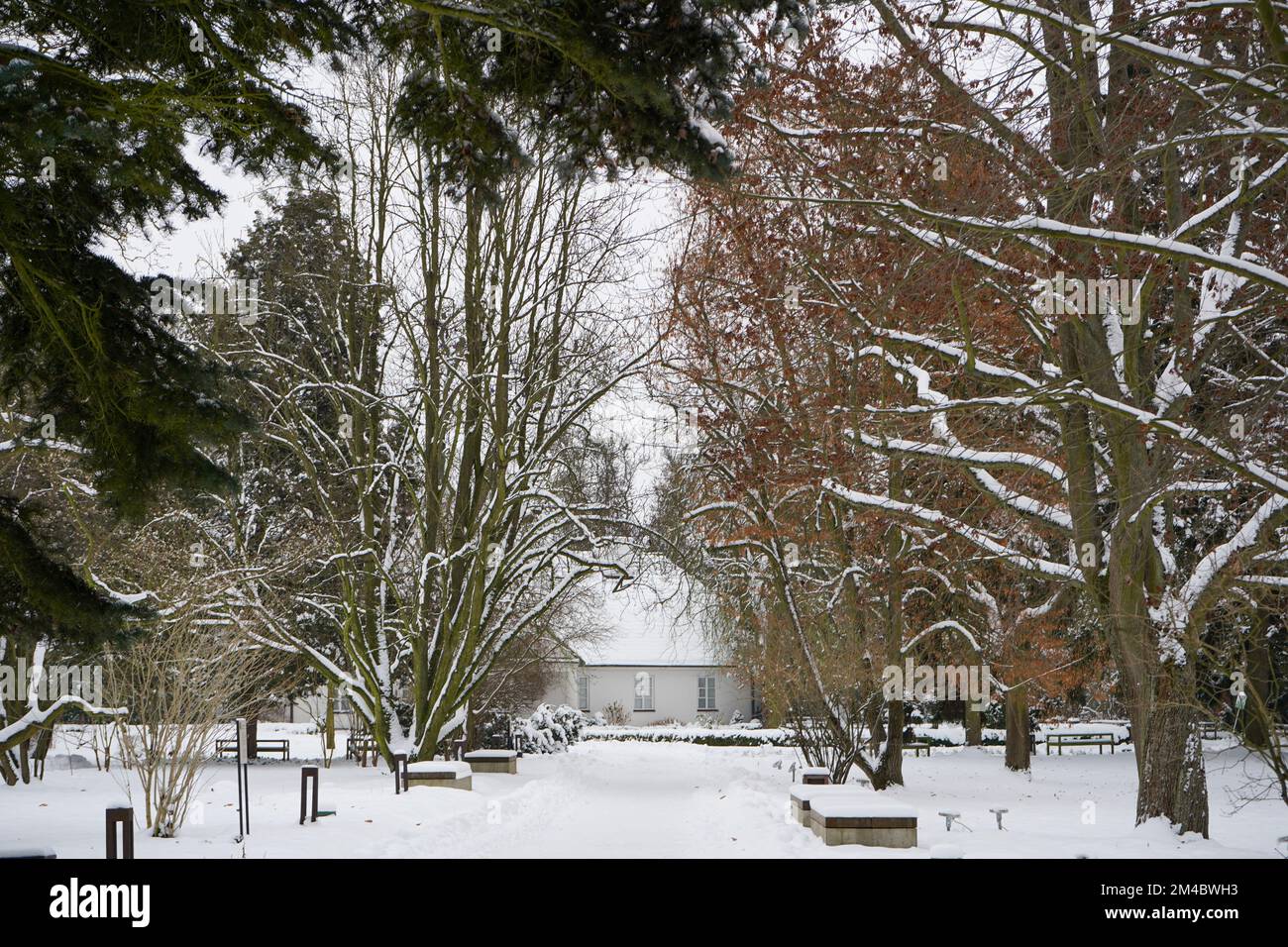 The Birthplace of Fryderyk Chopin (traditional Polish manor-house) and ...