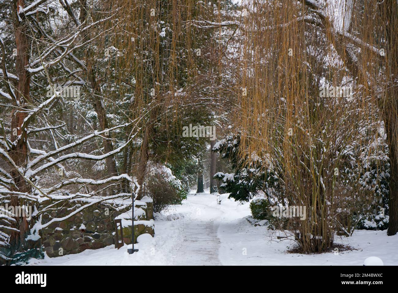 Alley covered by snow in Park surrounding the Birthplace of Frederic ...