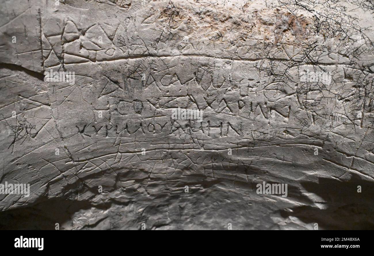 Lachish Forest, Israel. 20th Dec, 2022. A close-up of the Greek ...
