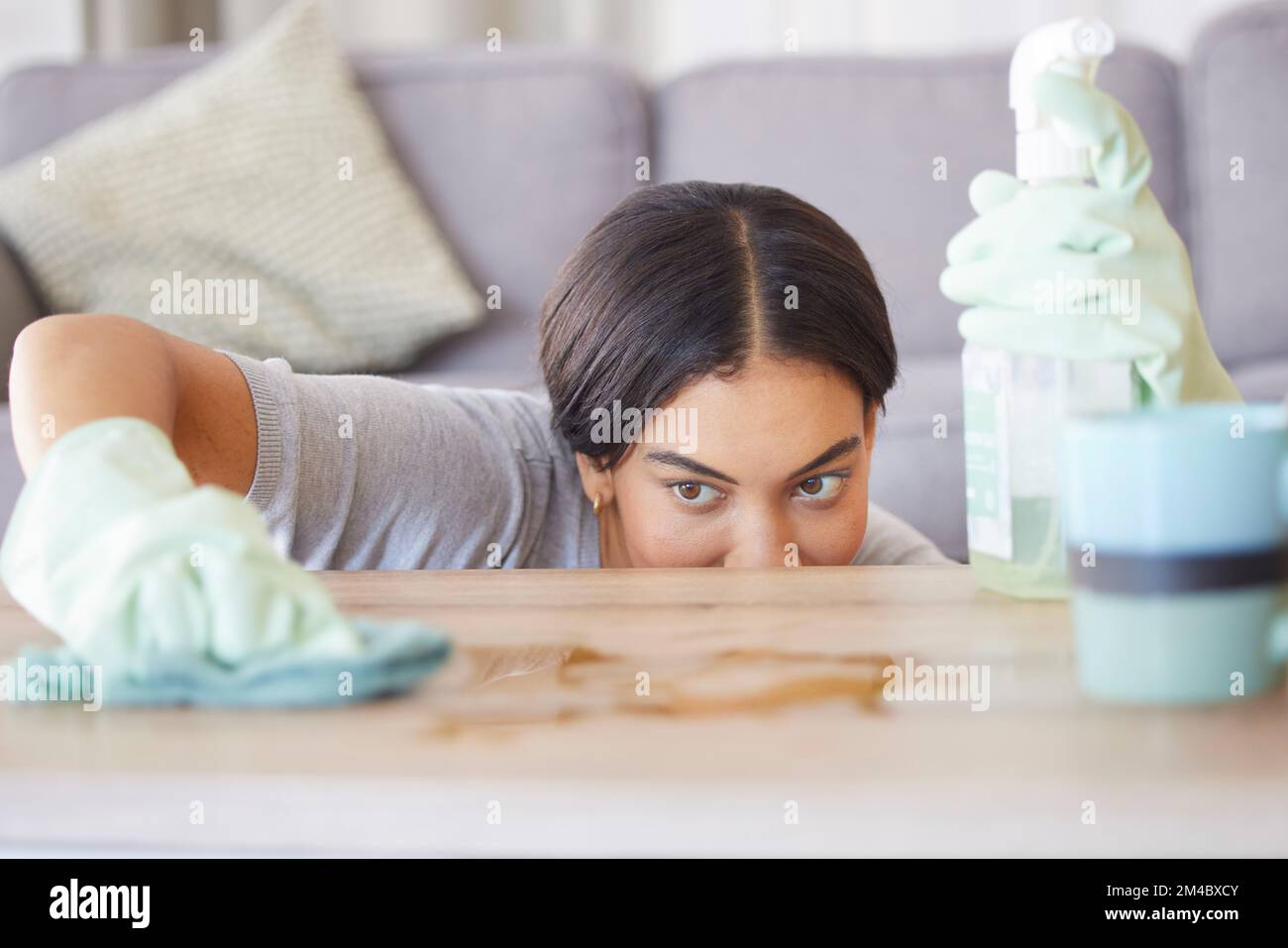 Focus, table or woman cleaning furniture surfaces with product for ...