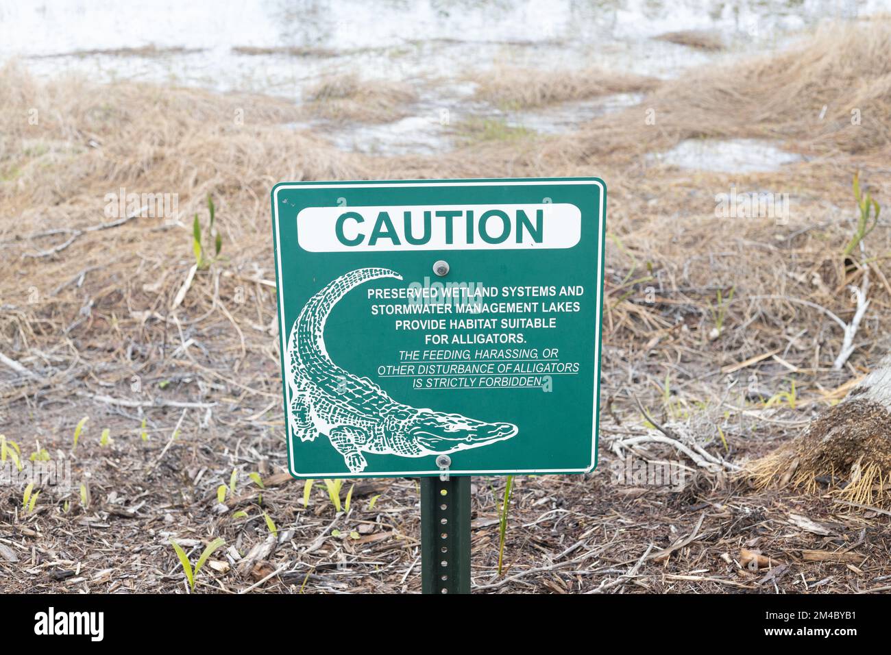 A sign cautioning about alligators next to a wetland in southwest ...