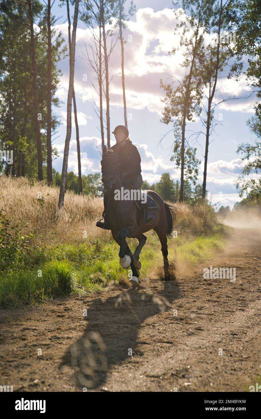 Lady trains a horse sitting in a sulky on a track. High quality photo Stock Photo - Alamy
