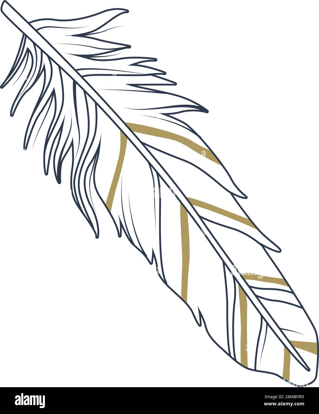 feather sketch drawn Stock Vector Image & Art - Alamy