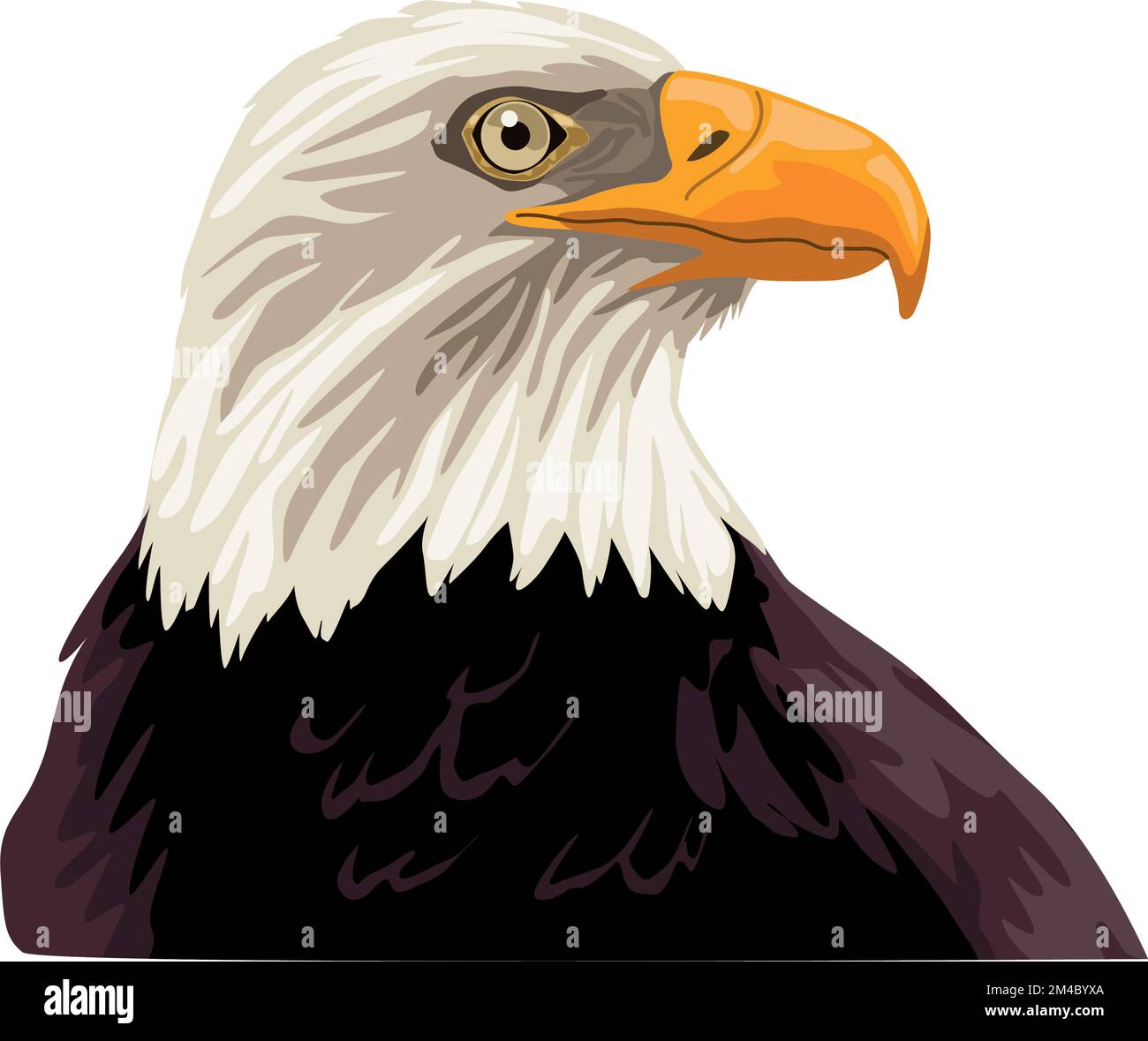 eagle bald wild animal Stock Vector Image & Art - Alamy