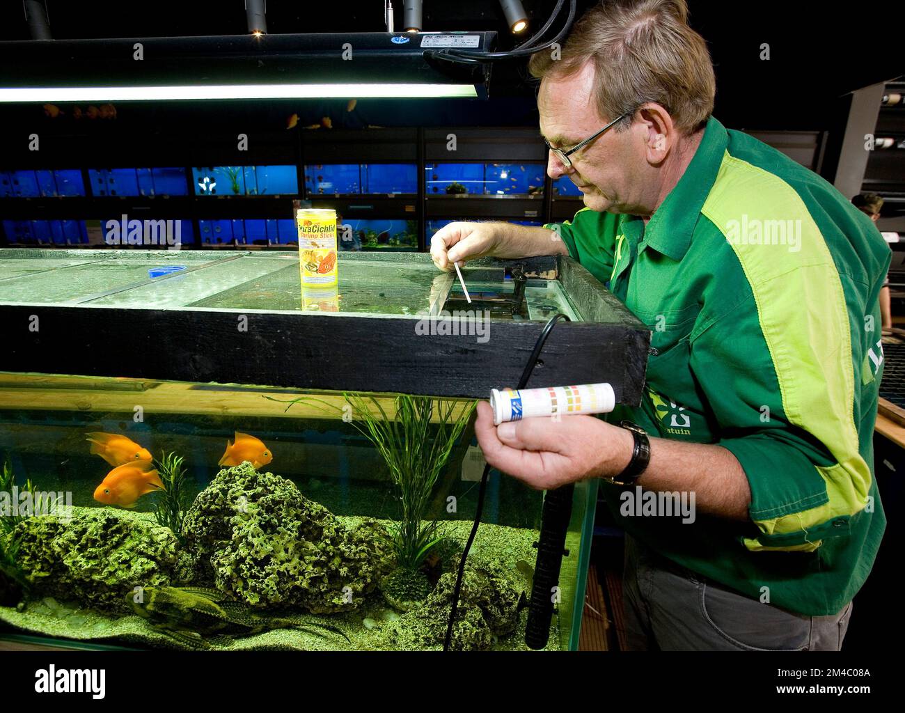 Netherlands, Seller of tropical fish measures the pH value of the water ...