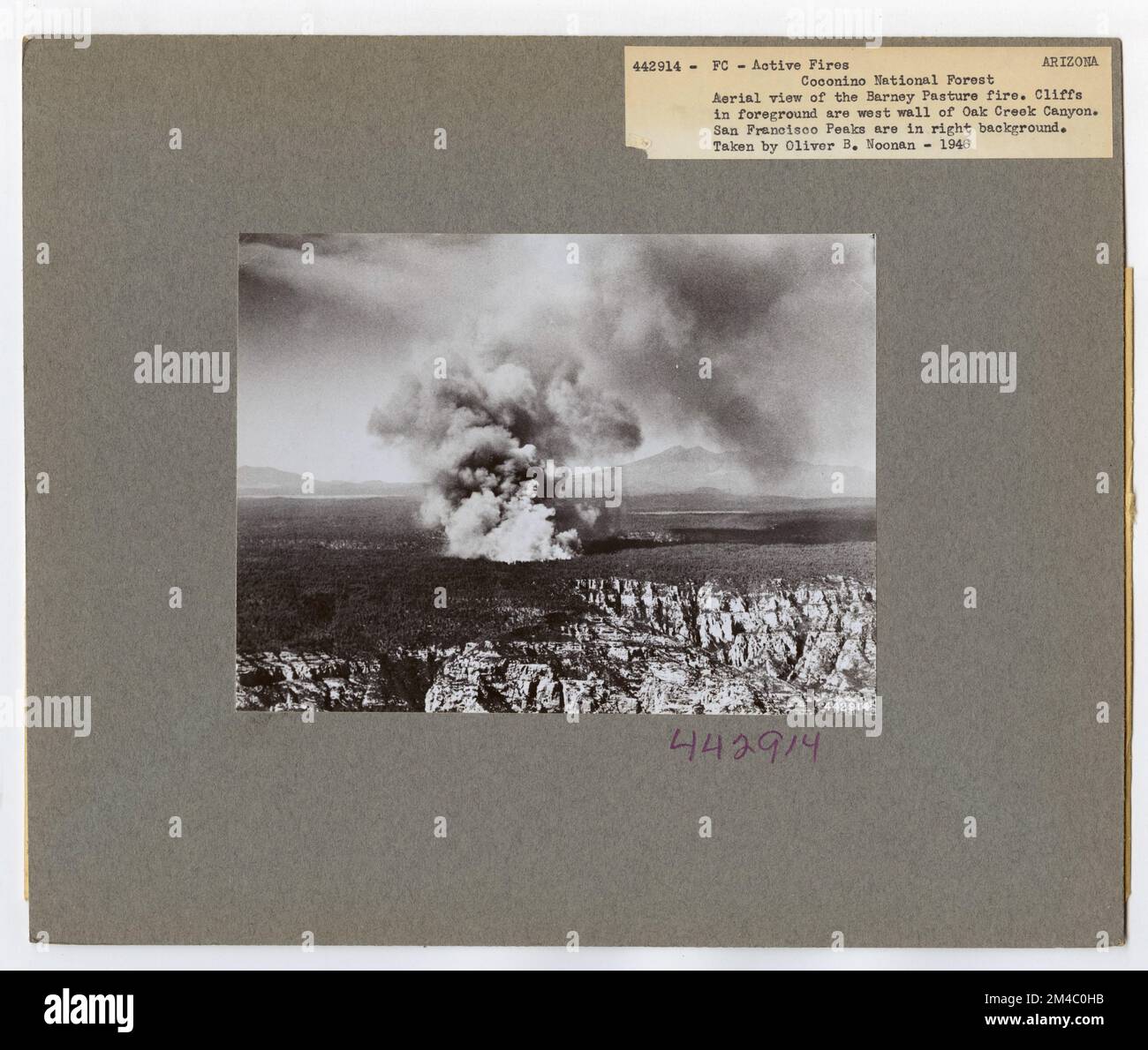 Active Fires - Arizona. Photographs Relating to National Forests ...