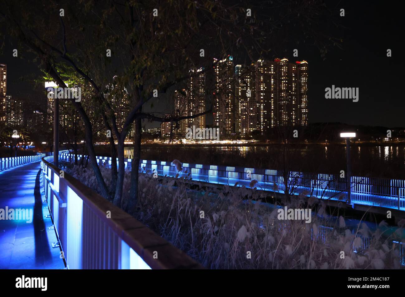 The beautiful night city view at Gwanggyo Lake park in Suwon, South ...
