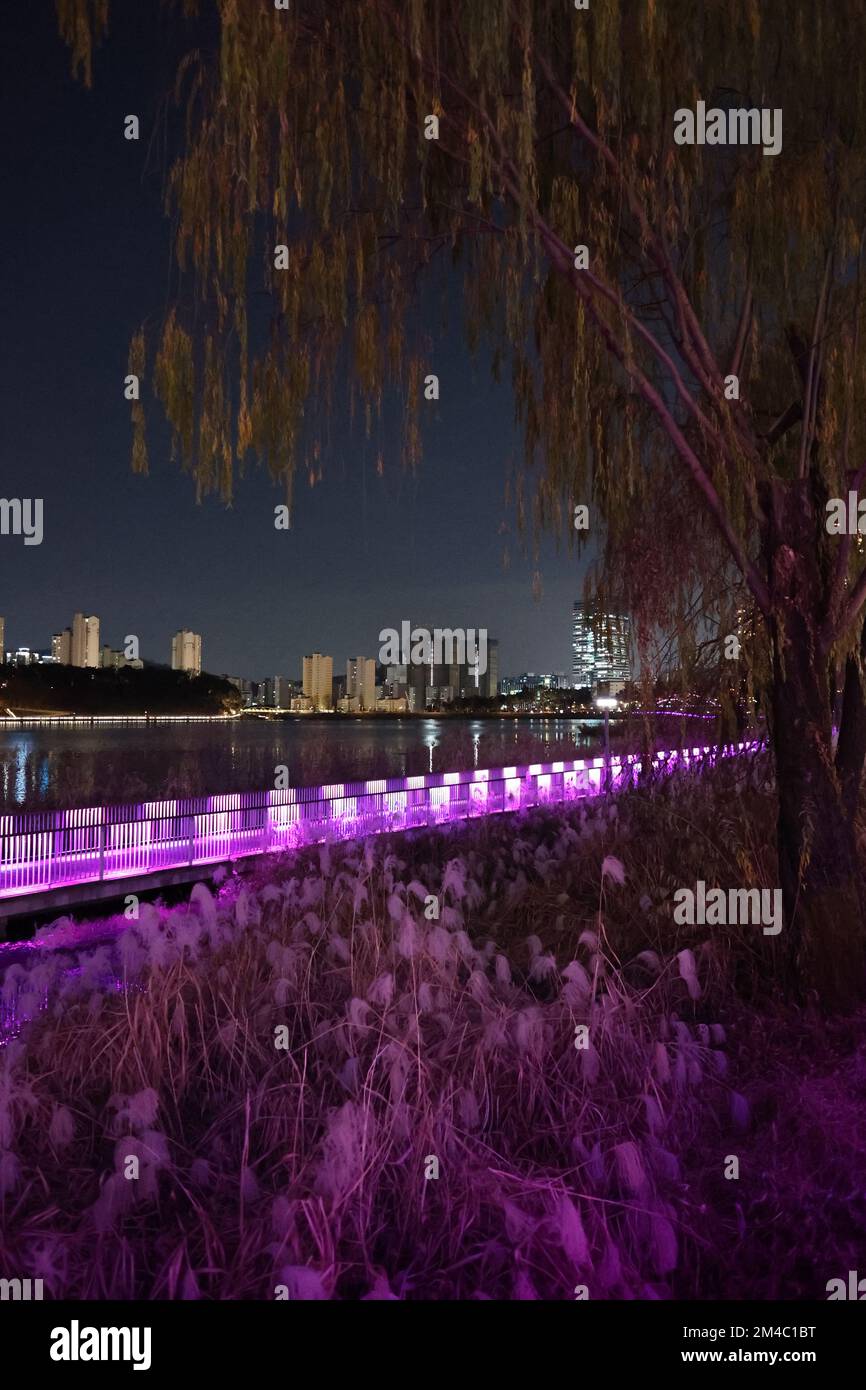 The beautiful night city view at Gwanggyo Lake park in Suwon, South ...