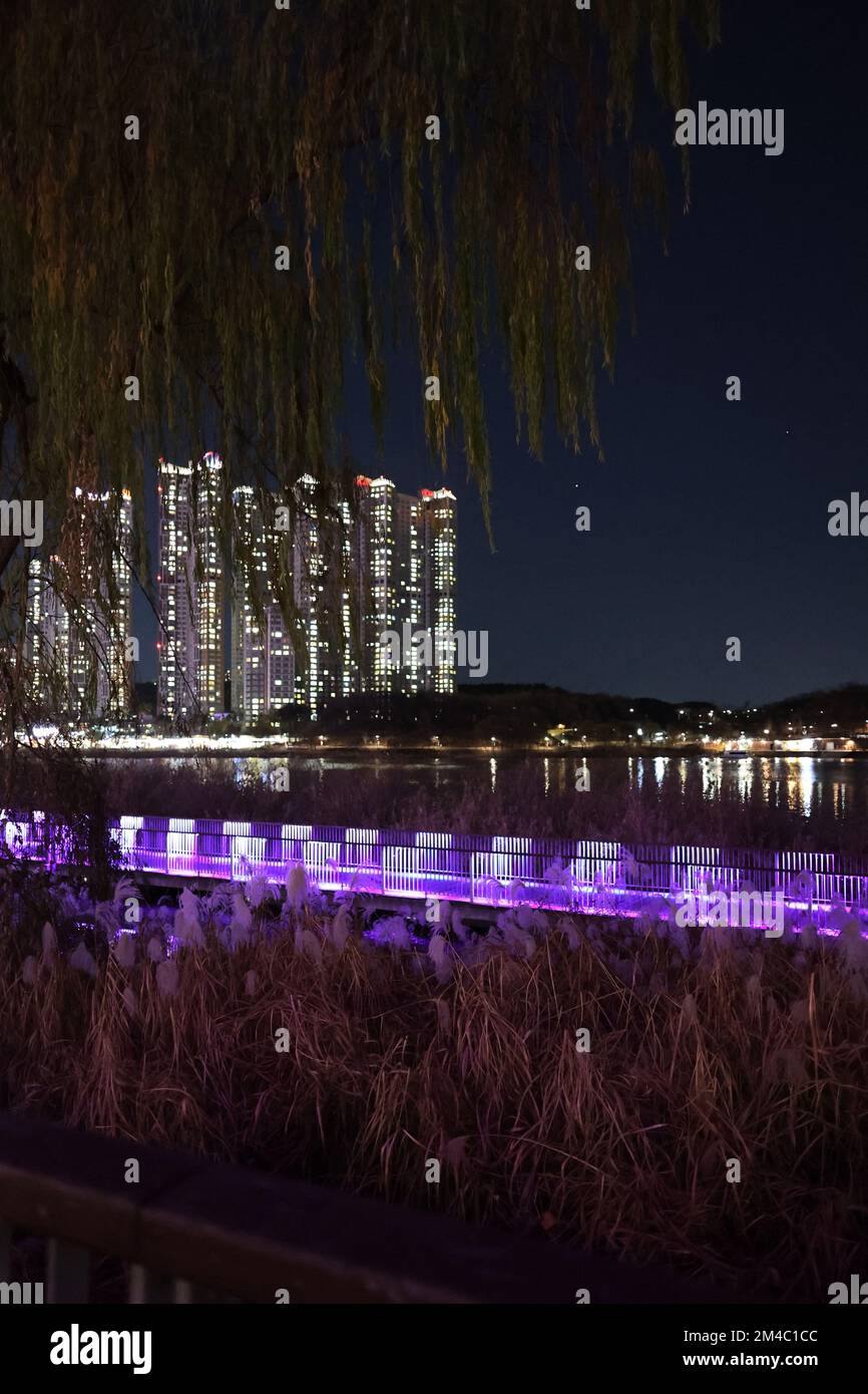 The beautiful night city view at Gwanggyo Lake park in Suwon, South ...