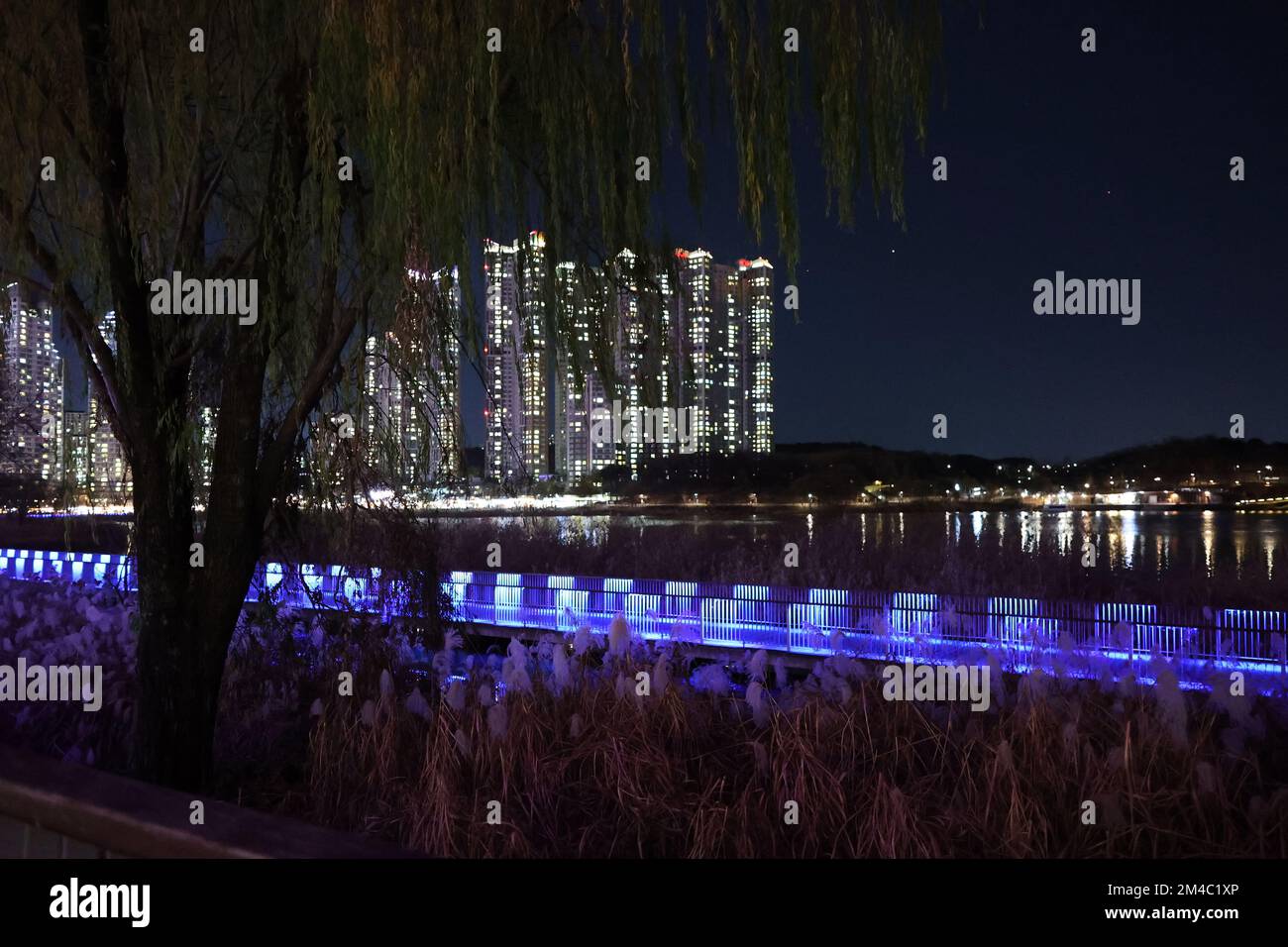 The beautiful night city view at Gwanggyo Lake park in Suwon, South ...