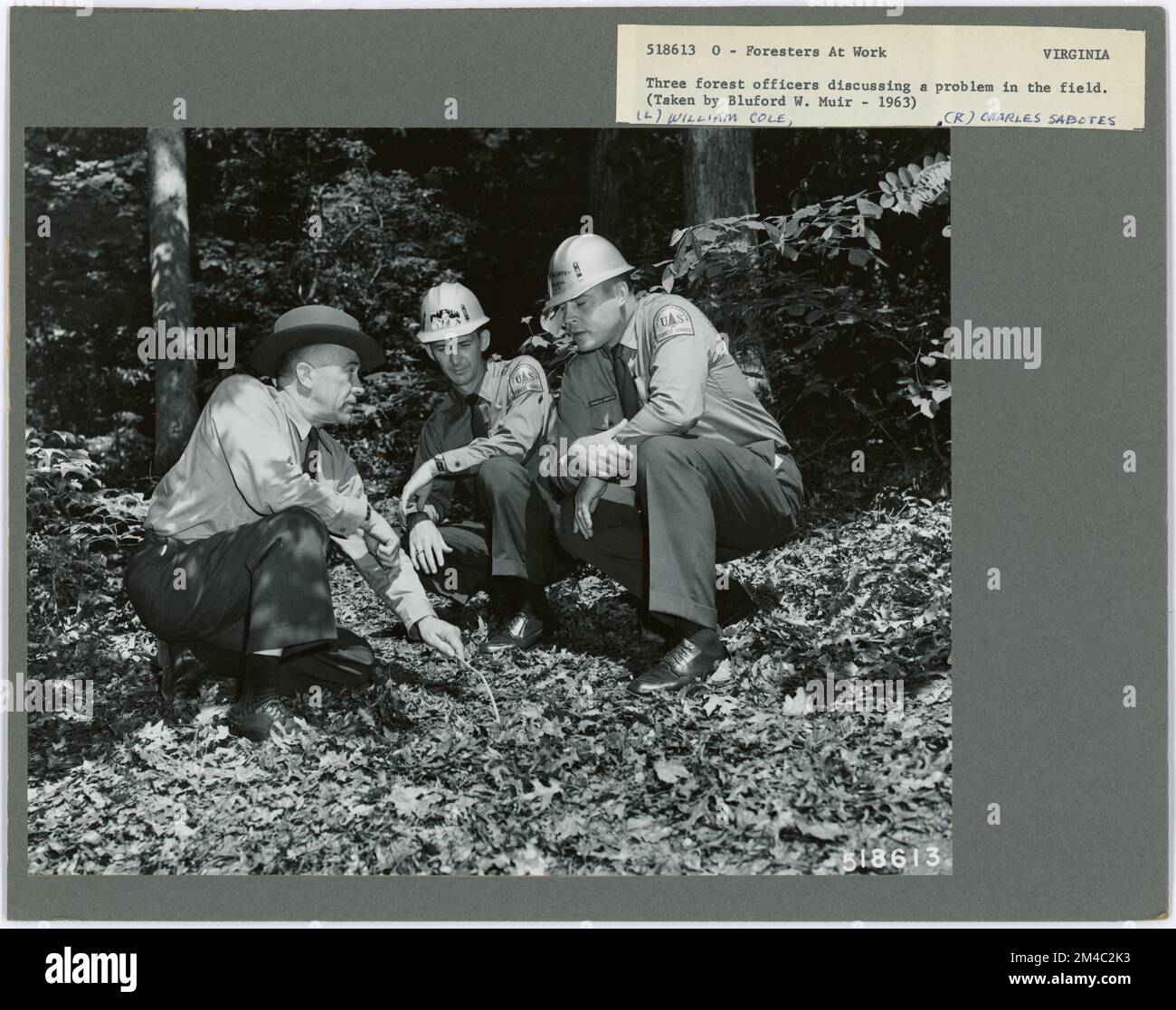 Foresters at Work - Virginia. Photographs Relating to National Forests ...
