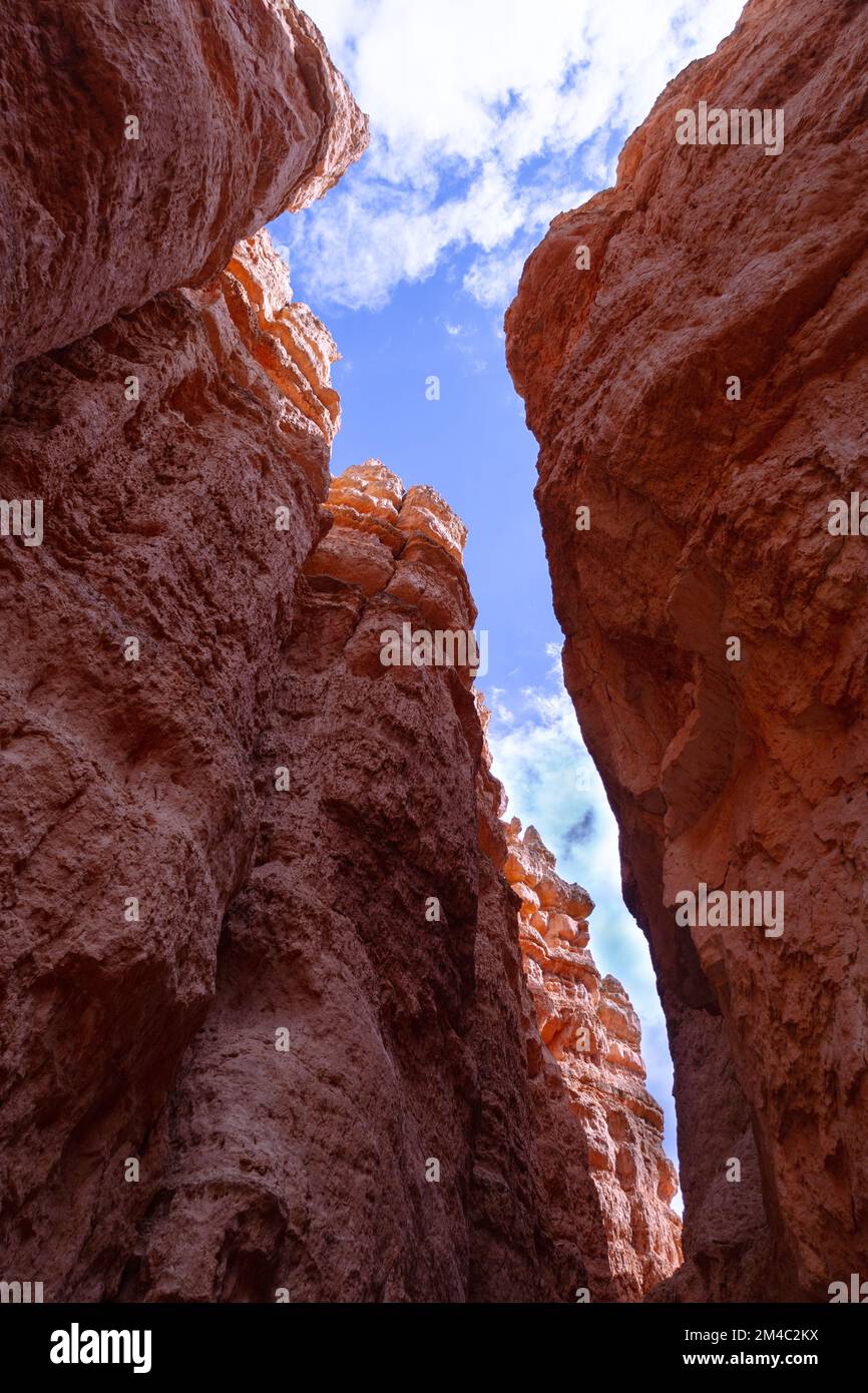 A vertical low angle shot of rocky heights at Bryce Canyon National ...