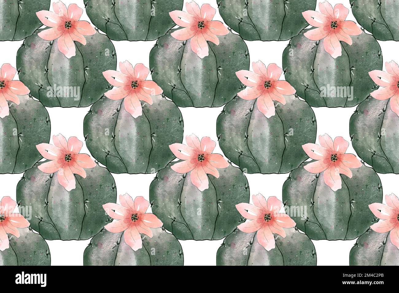 Seamless pattern with succulents and cacti flowers. Watercolor hand ...