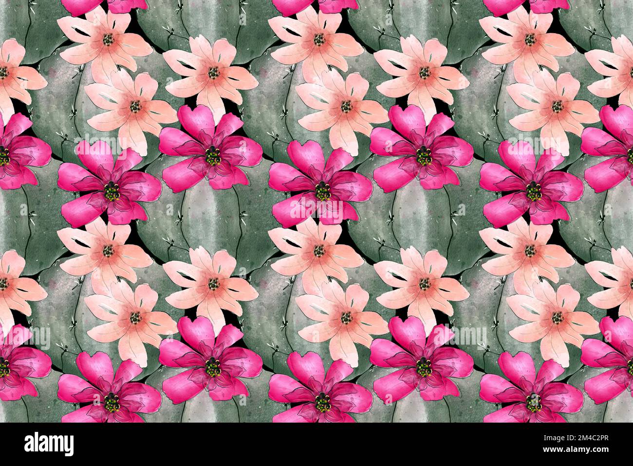 Vintage cactus illustration hi-res stock photography and images - Alamy