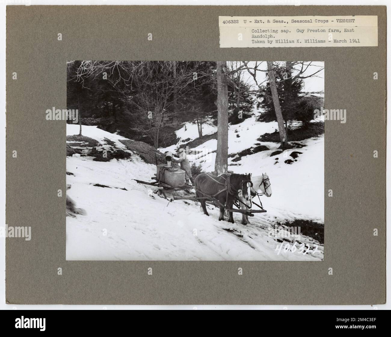 Seasonal Crops - Vermont. Photographs Relating to National Forests ...