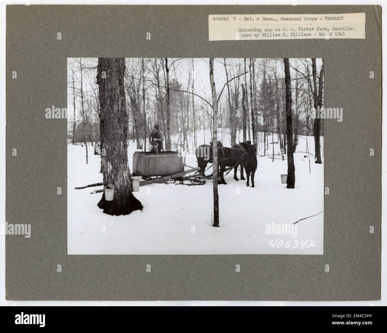 Seasonal Crops - Vermont. Photographs Relating to National Forests ...