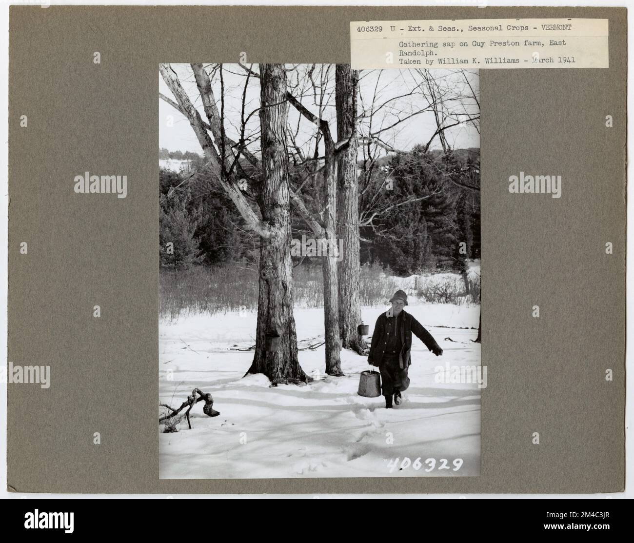 Seasonal Crops - Vermont. Photographs Relating to National Forests ...