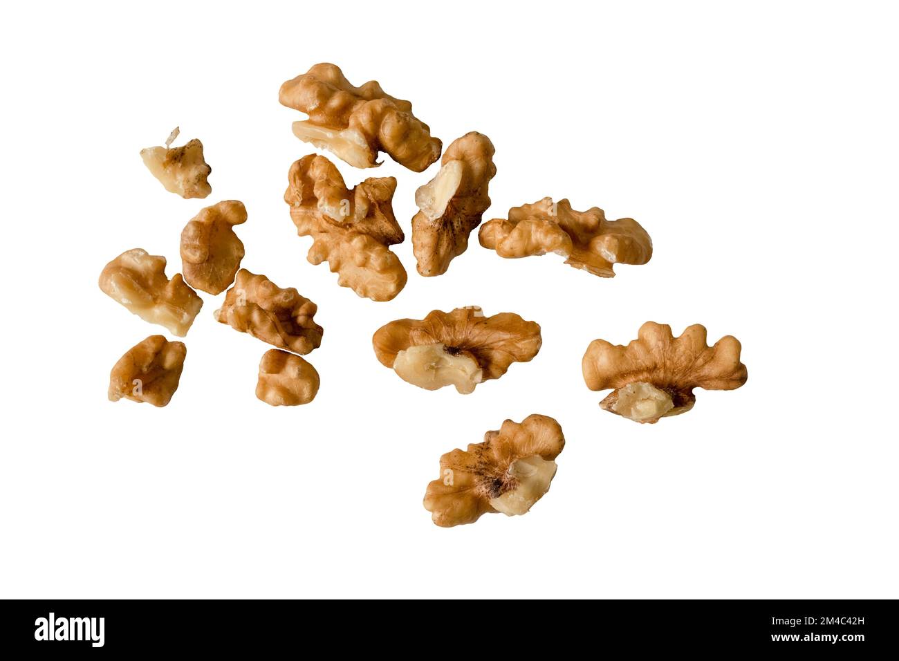 flying walnut kernels. Walnut kernels peeled isolated on white ...