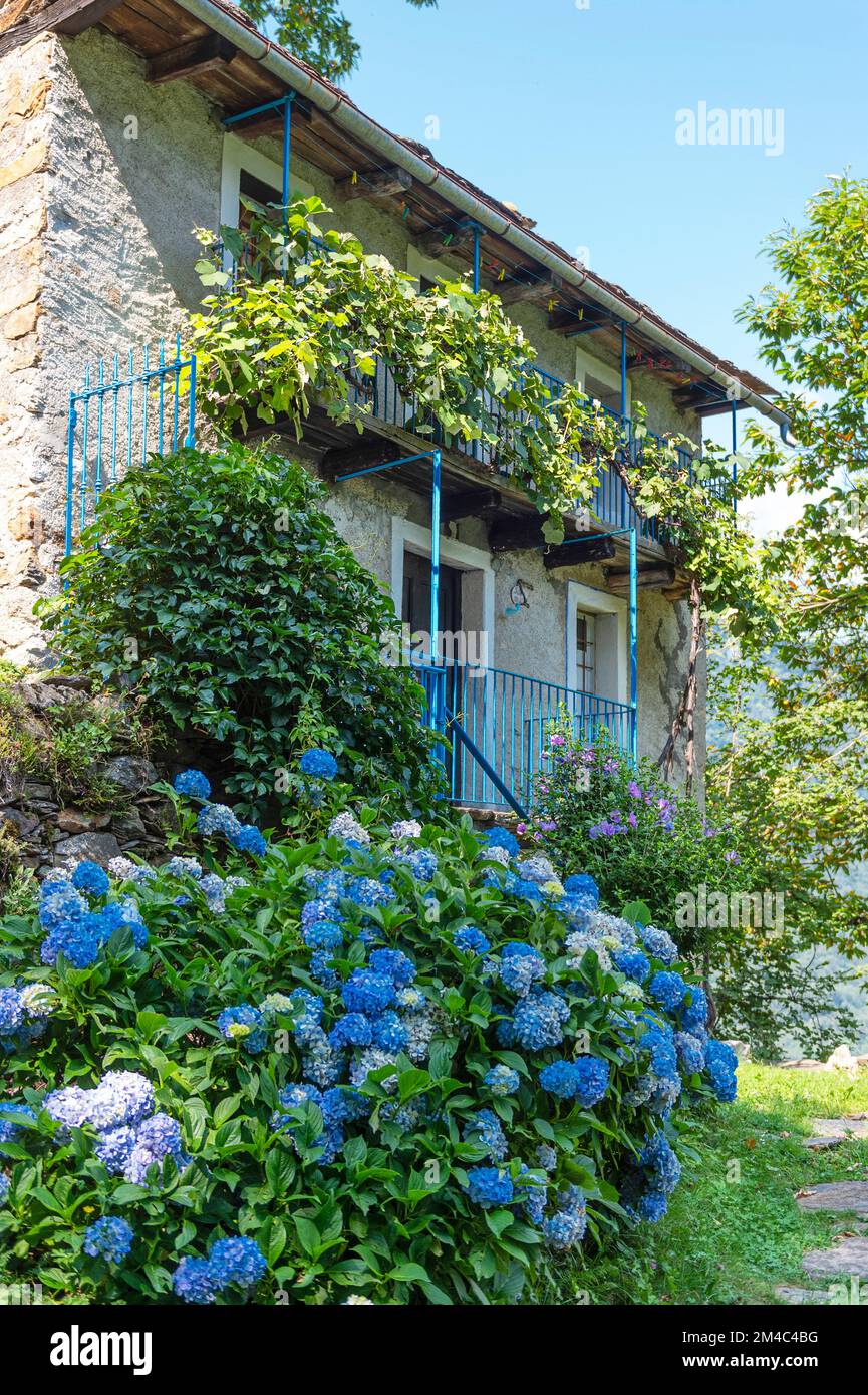 Gurro italy hi-res stock photography and images - Alamy