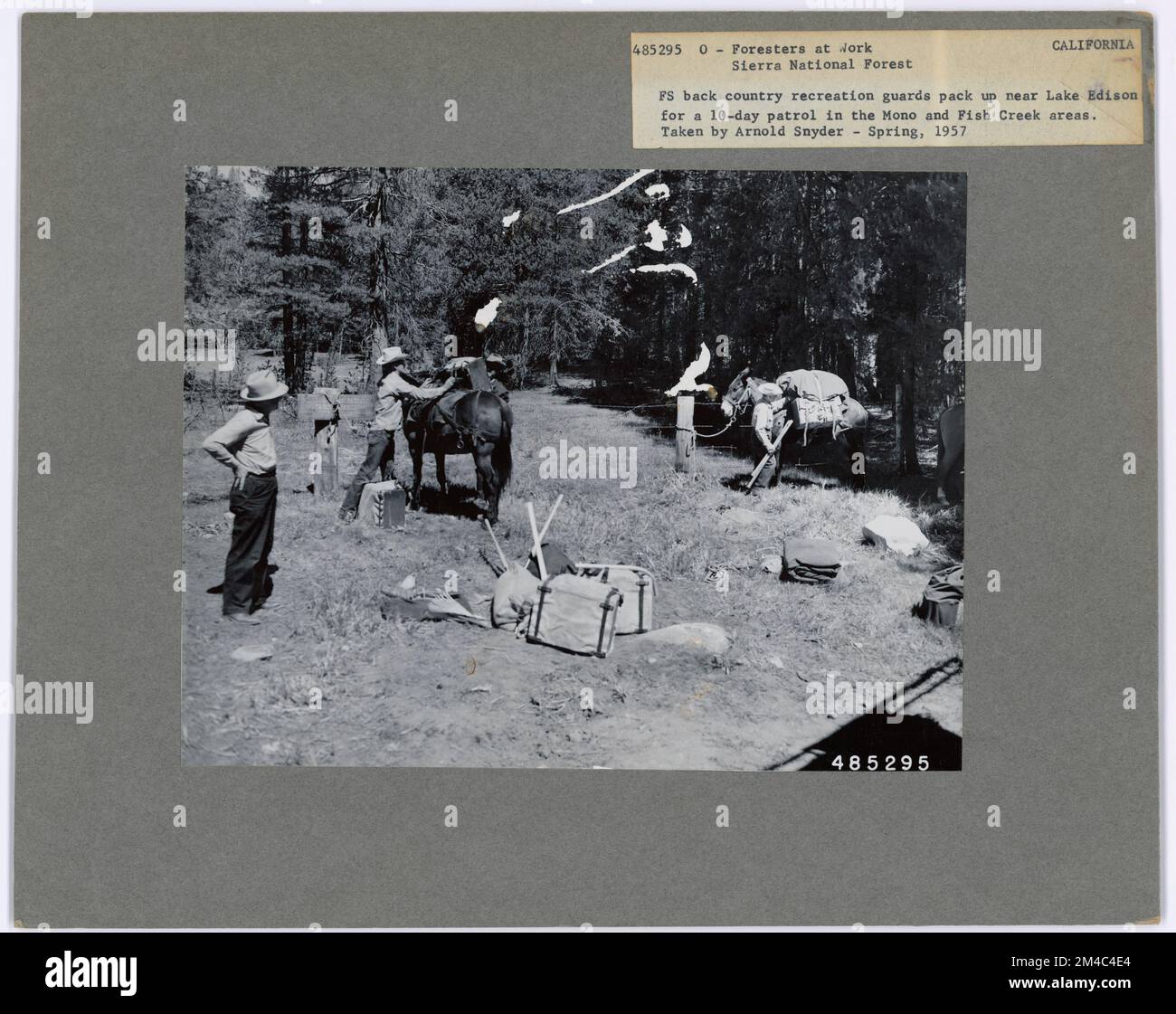 Foresters at Work - California. Photographs Relating to National ...