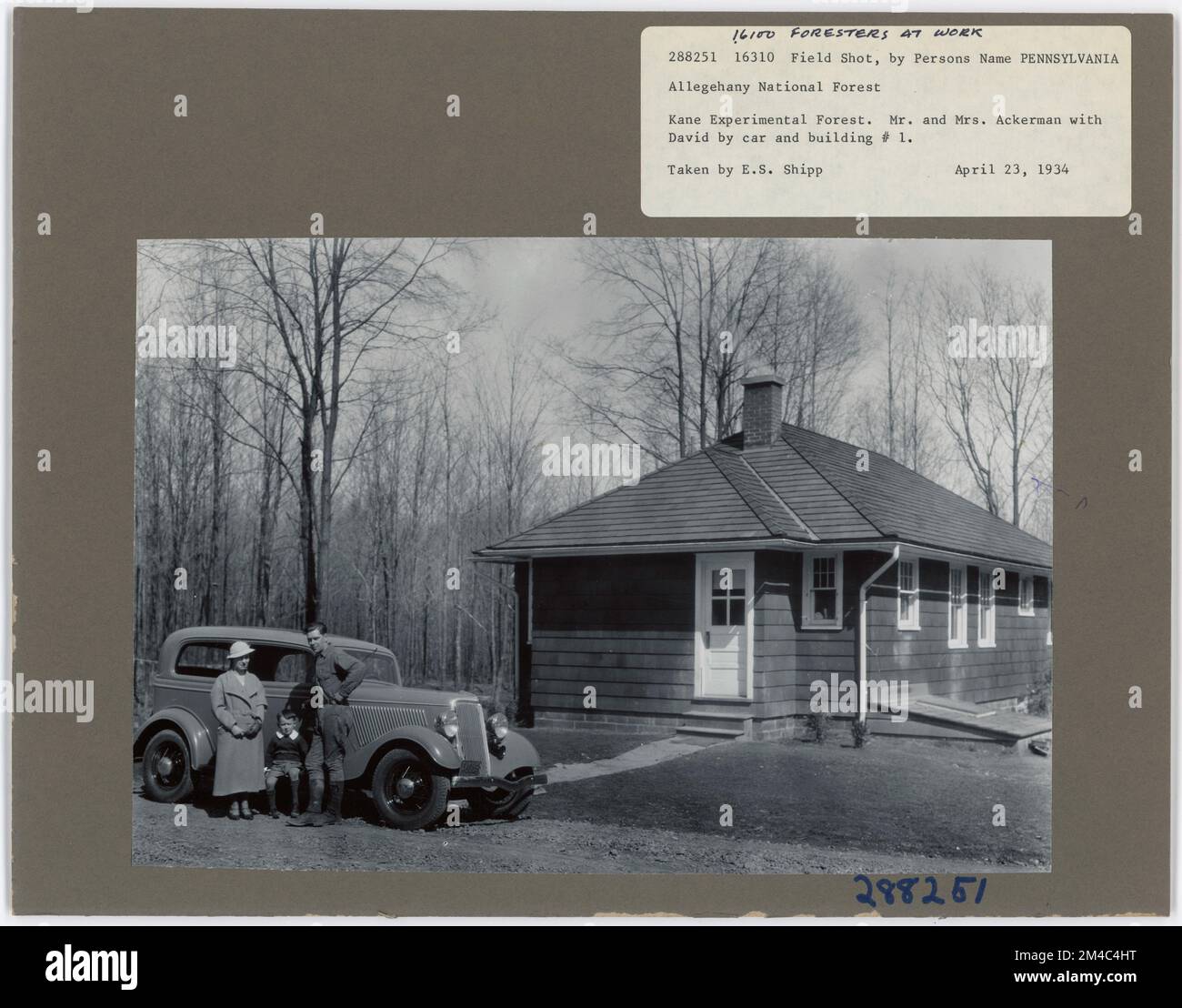 Foresters at Work - Pennsylvania. Photographs Relating to National ...