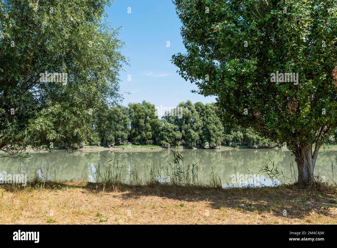 adige river, legnago, italy Stock Photo - Alamy