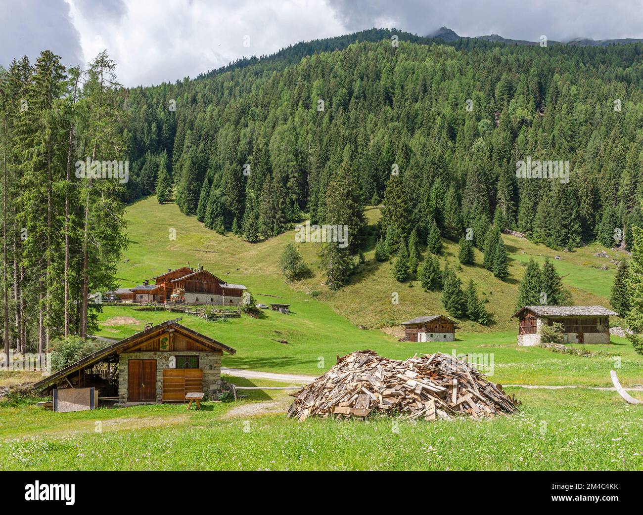 Rabbies hi-res stock photography and images - Alamy