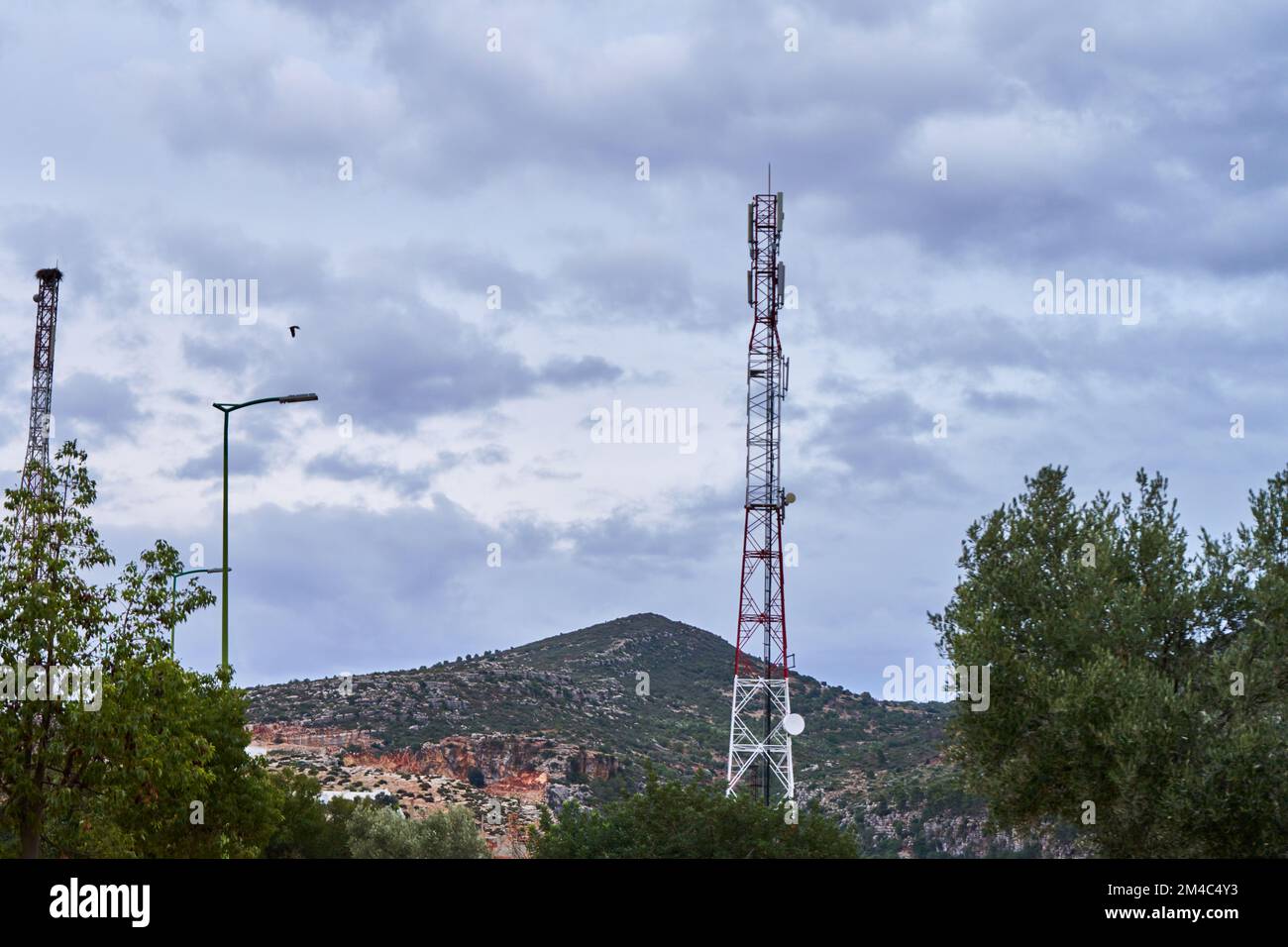 Trees on a Moroccan mountain Stock Photo - Alamy