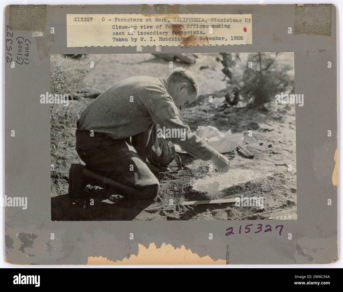 Foresters at Work - California. Photographs Relating to National ...