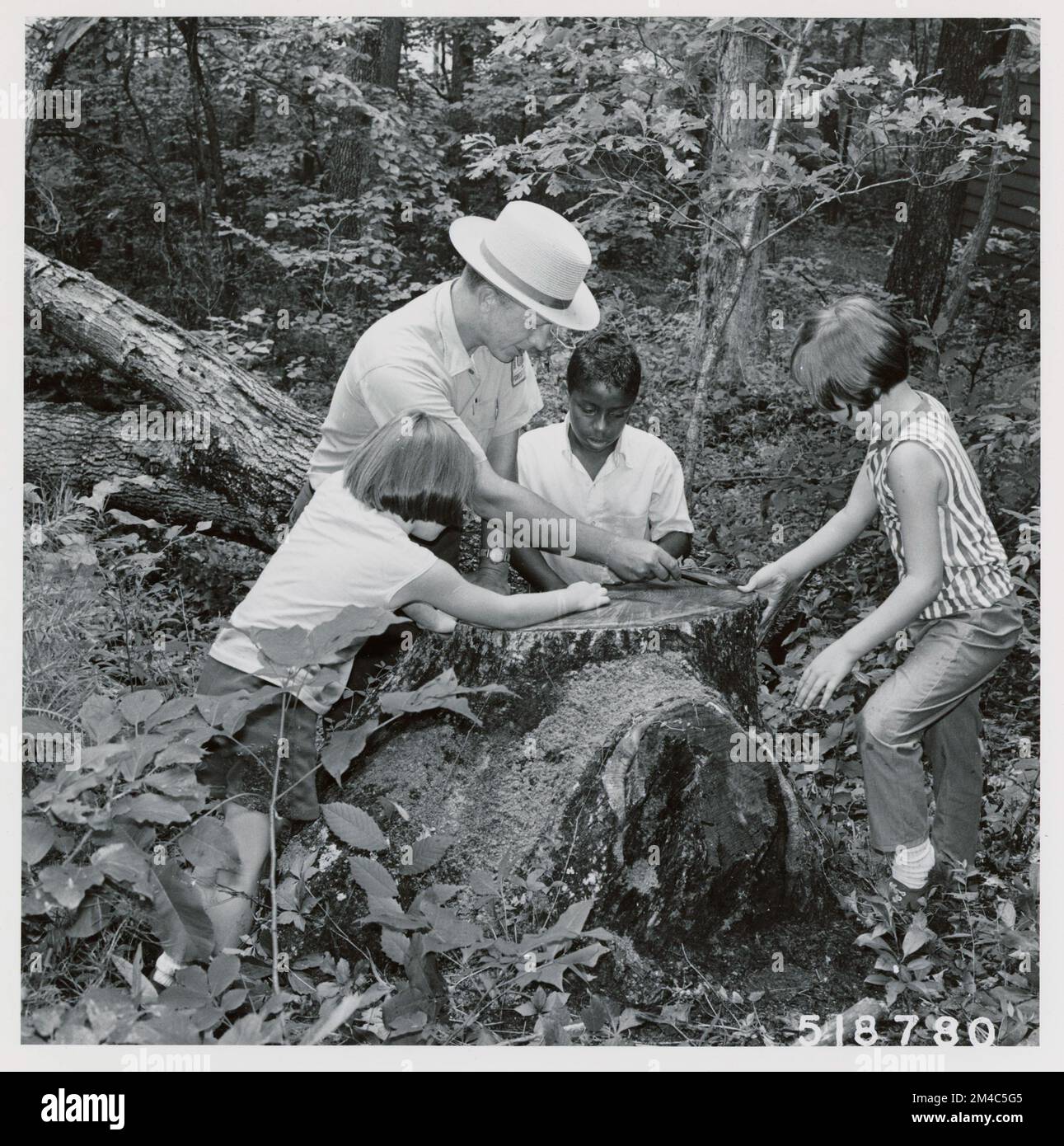 Foresters at Work - Georgia. Photographs Relating to National Forests ...