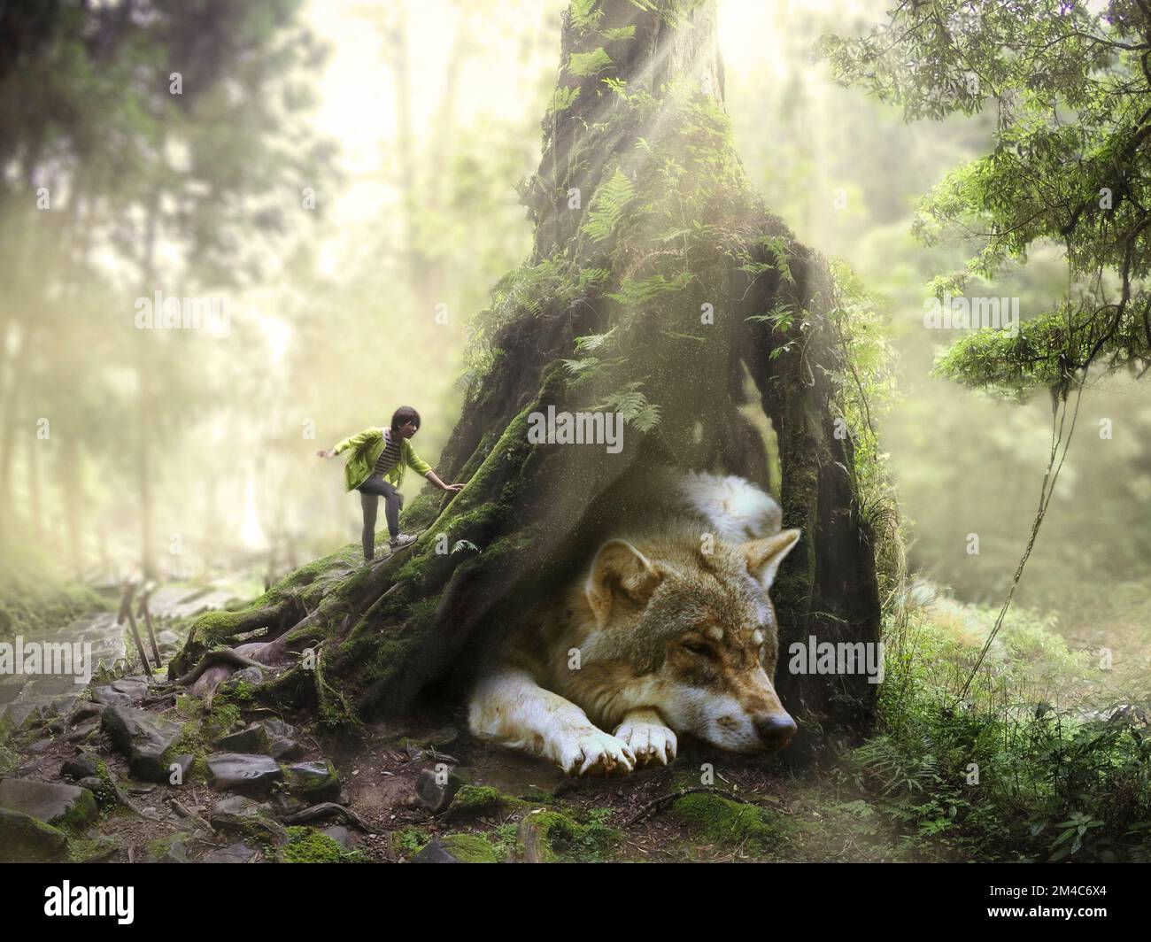 Wolf is under a tree hi-res stock photography and images - Alamy
