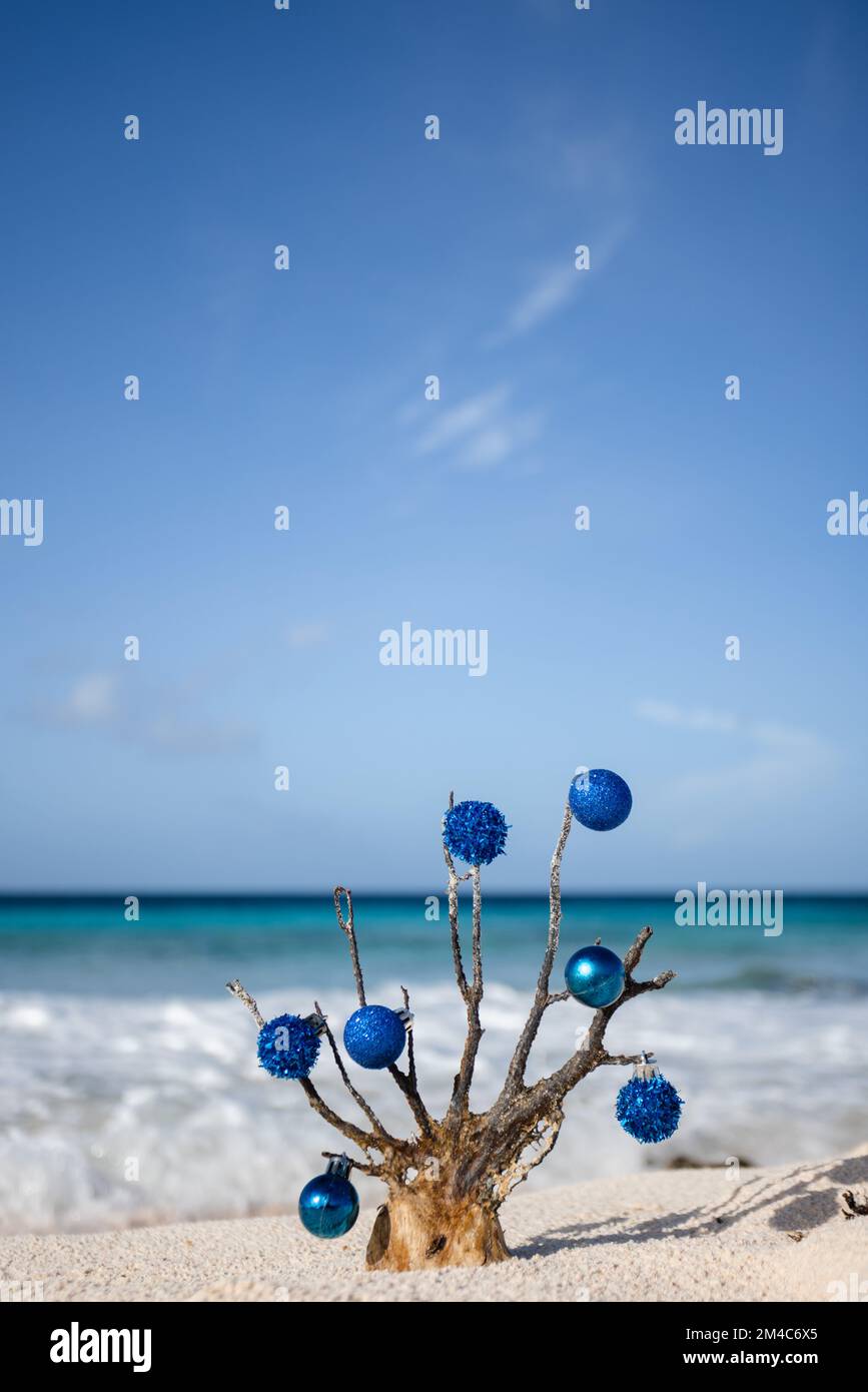 Dead corals decorated with blue Christmas balls standing on the sand ...