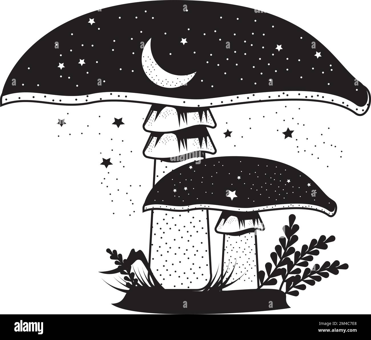 Cosmos plants Stock Vector Images - Alamy