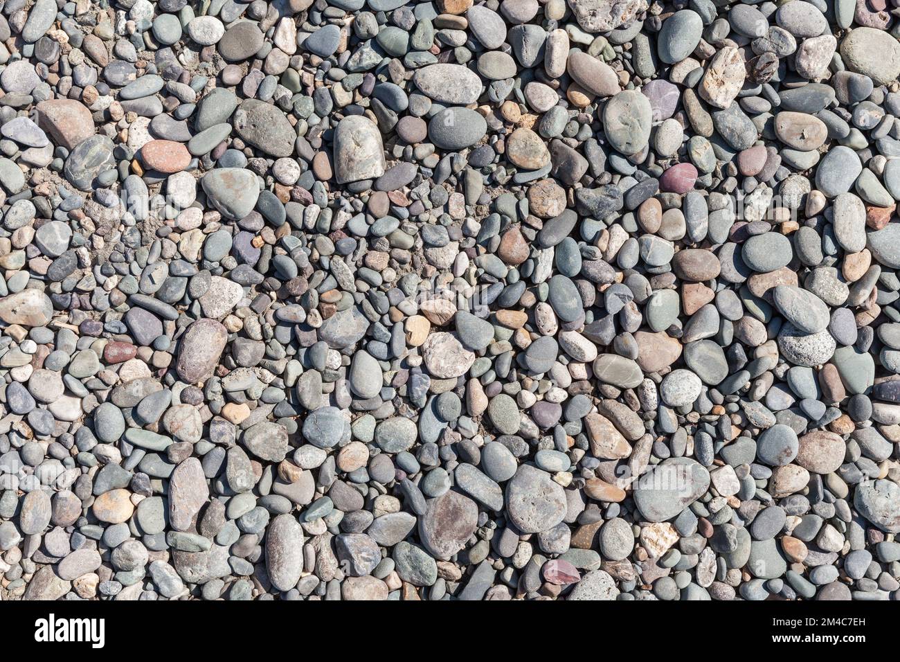 Gray coastal pebble, top view, close-up background photo texture Stock ...