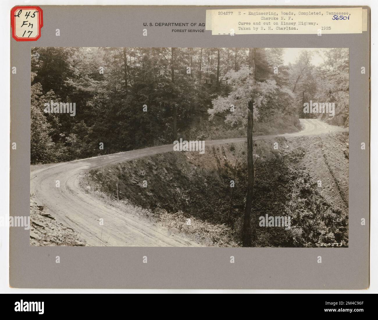 Roads - Tennessee. Photographs Relating to National Forests, Resource ...