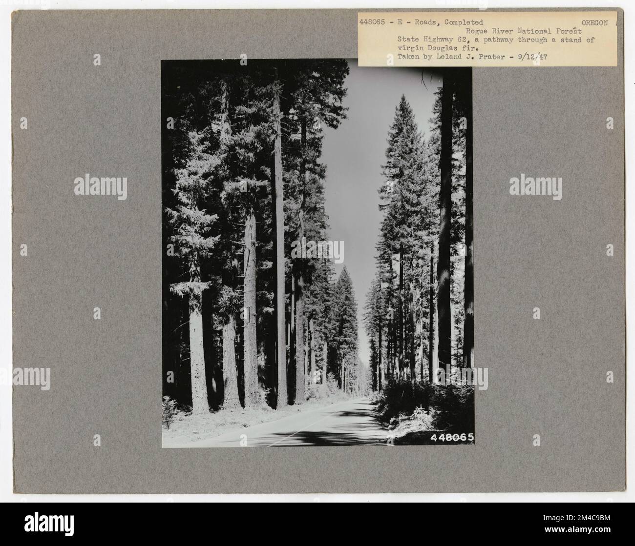 Roads - Oregon. Photographs Relating to National Forests, Resource ...