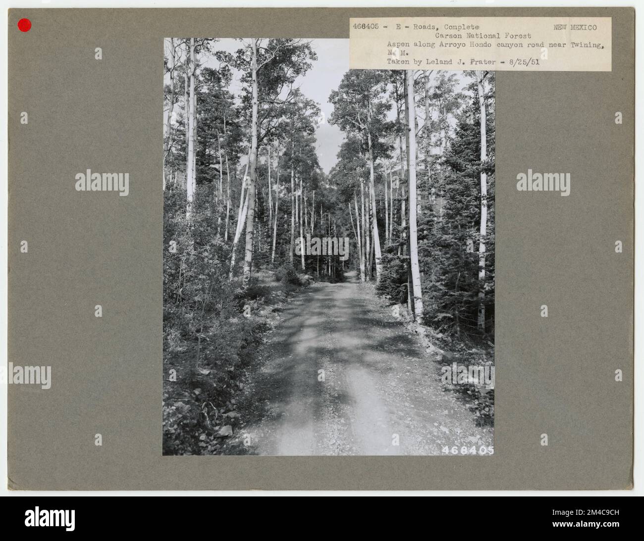 Roads - New Mexico. Photographs Relating to National Forests, Resource ...
