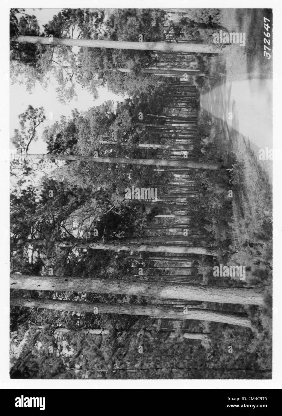 Roads - Minnesota. Photographs Relating to National Forests, Resource ...