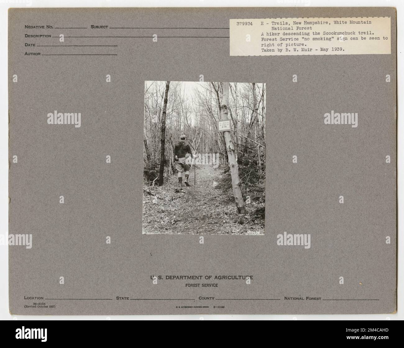 Trails - New Hampshire. Photographs Relating to National Forests ...