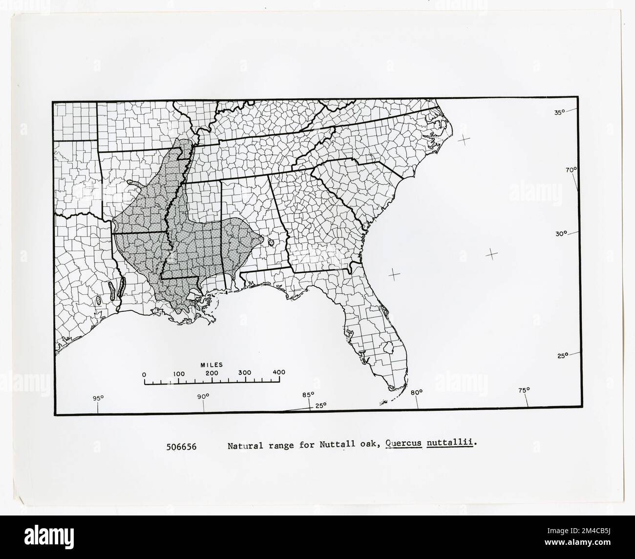 Maps and Charts - All States. Photographs Relating to National Forests ...